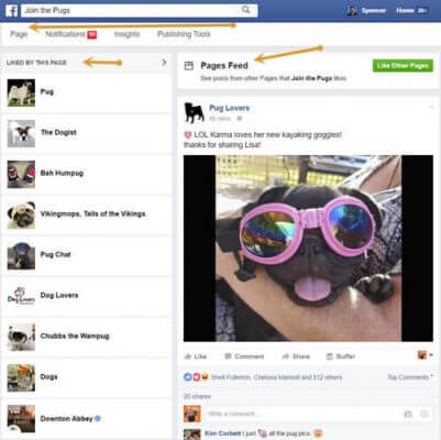 How to access your Facebook Pages Feed by Spencer Taylor